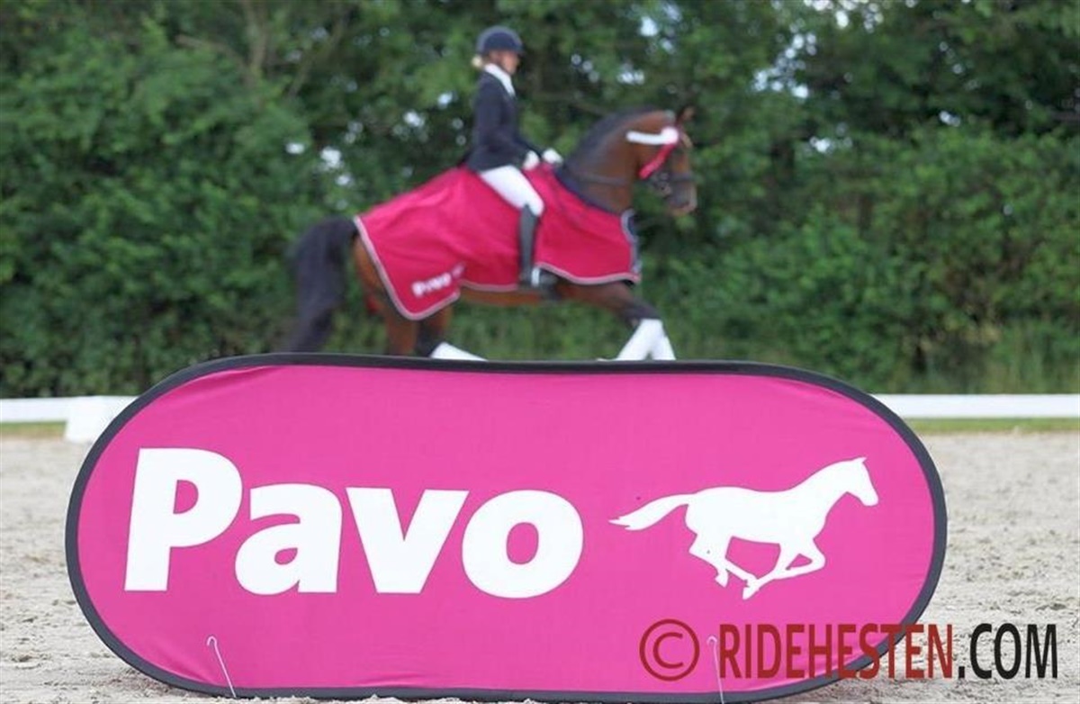 Pavo får ny distributør i Danmark - Ridehesten.com