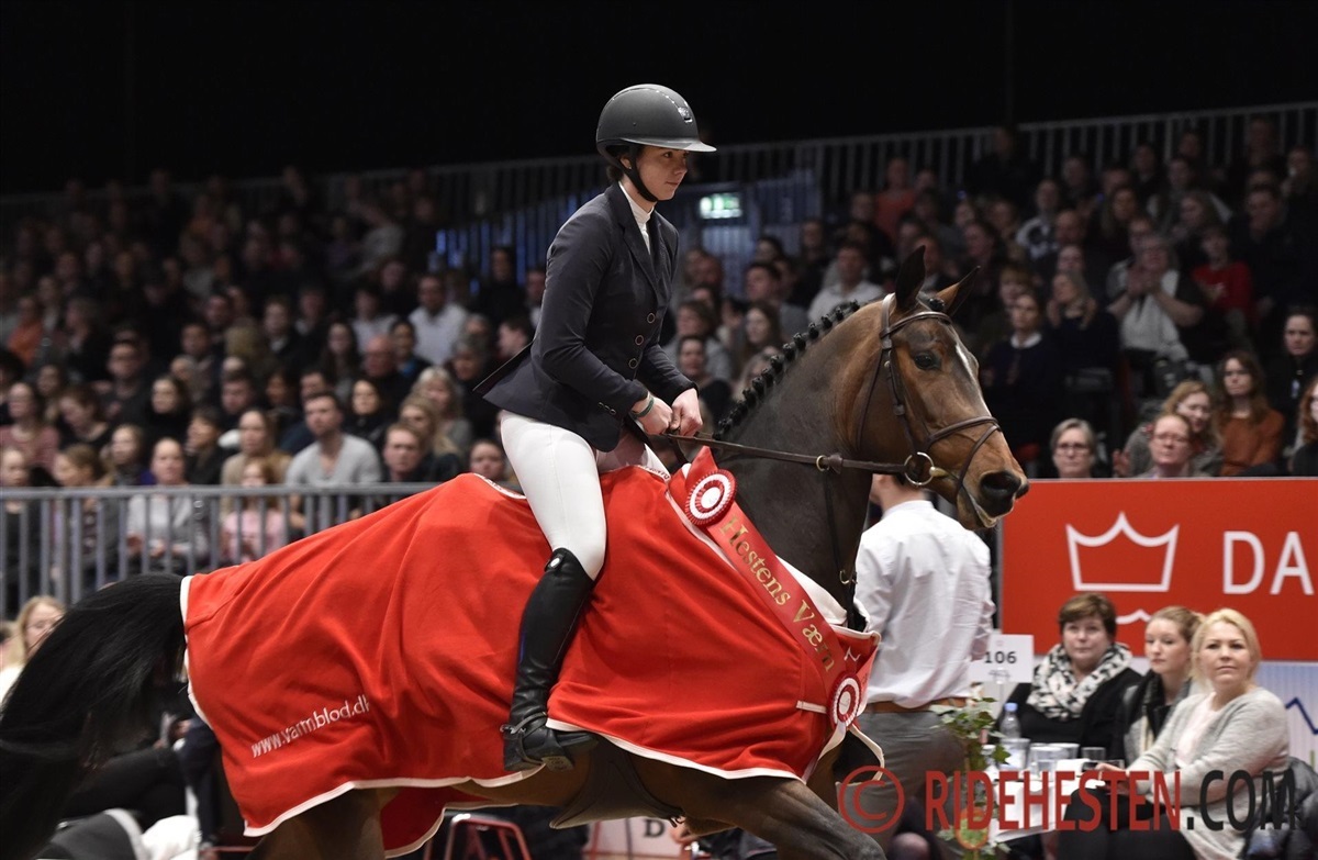 Helena kombinerer familie, arbejde og hest i Italien - Ridehesten.com