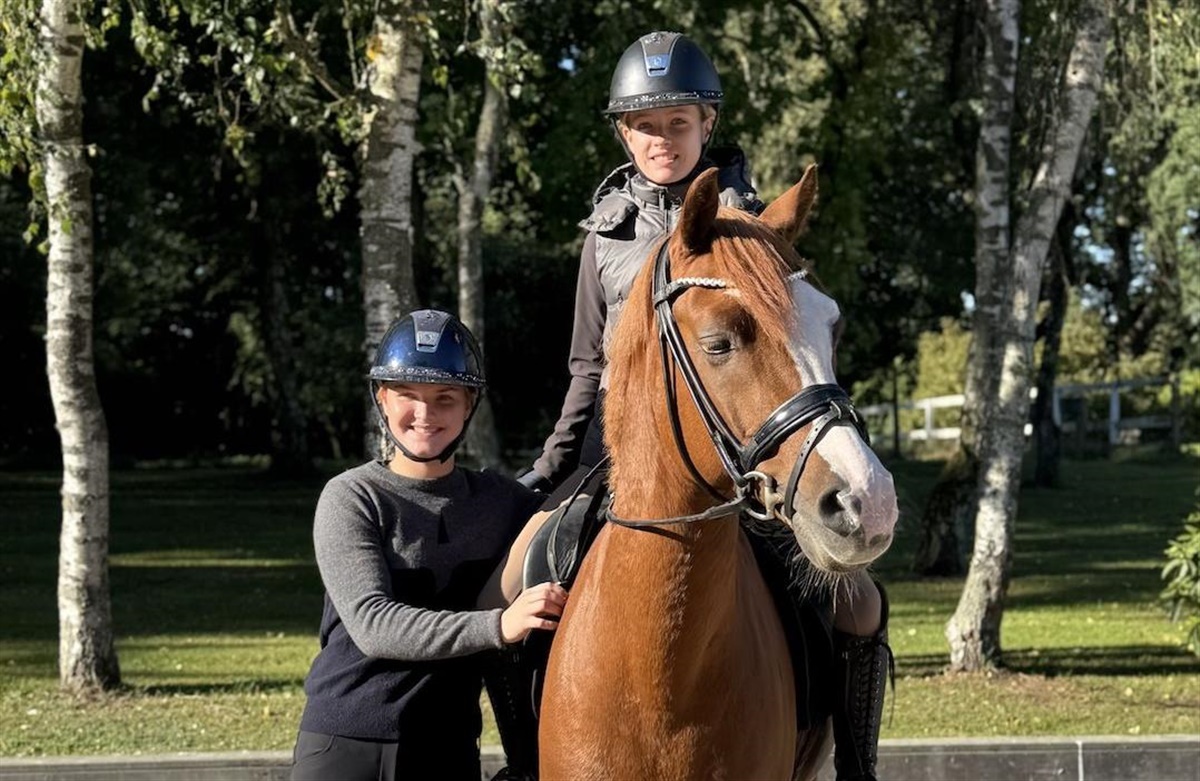 Zindorffs EM-pony Del Classico er solgt - Ridehesten.com