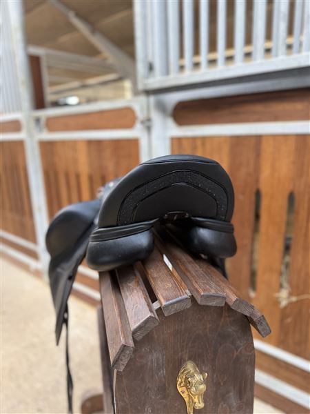 Aviar Rook 3.0 - Ridehesten.com