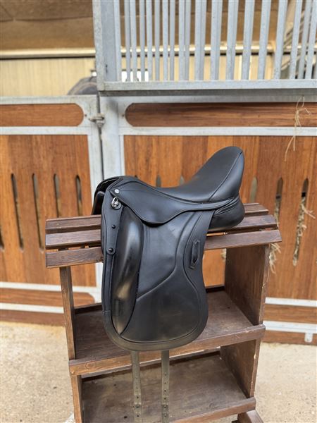 Aviar Rook 3.0 - Ridehesten.com